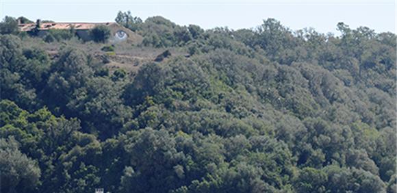 O “rio Mira vai cheio” - Diário do Alentejo