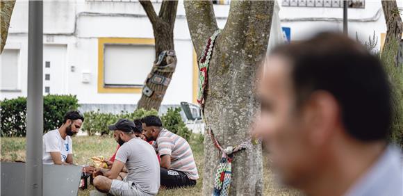 beringel - Diário do Alentejo