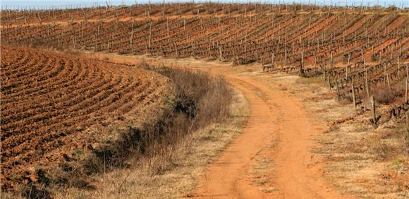 36% do território continental em seca severa e extrema - Diário do Alentejo