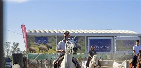 Feira de Garvão quer afirmar o “mundo rural” e as suas atividades ...