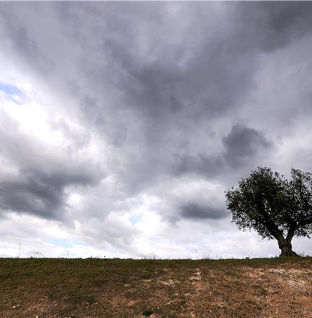 Agricultores exigem declaração de situação de seca - Diário do Alentejo